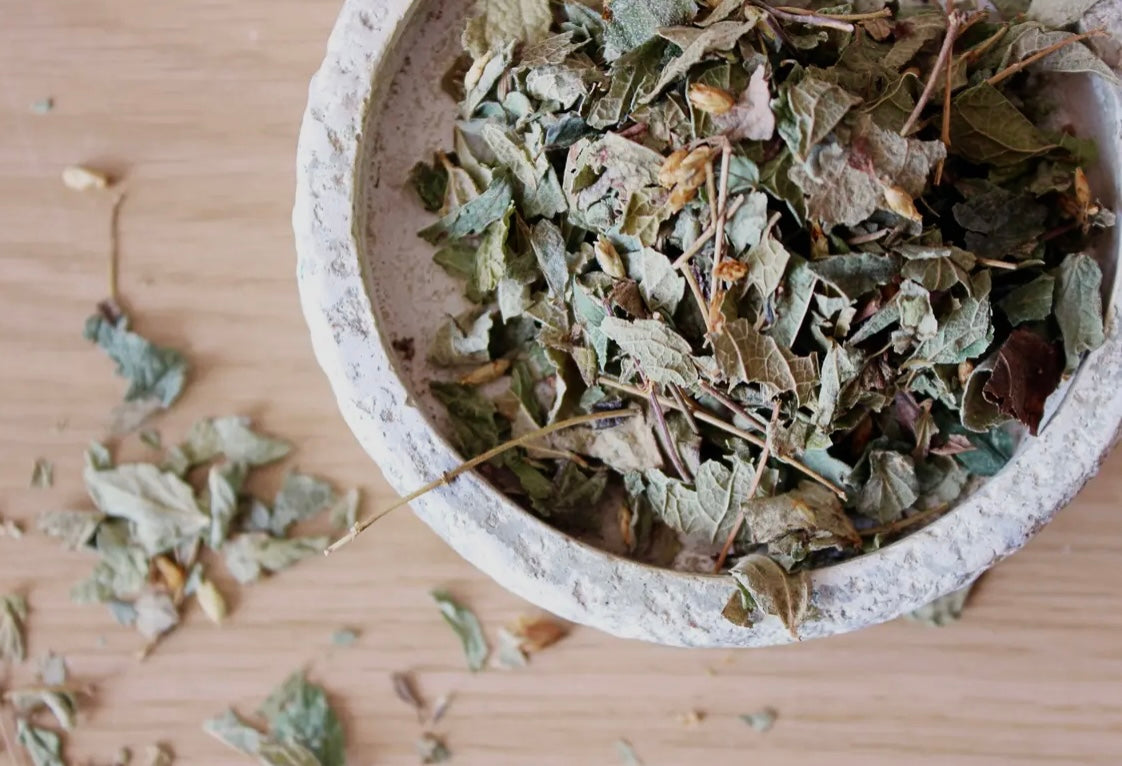 MEXICANSK DRØMMEURT | CALEA ZACATECHICHI - 15 gram